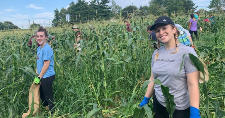 Life At BMS - BMS Careers