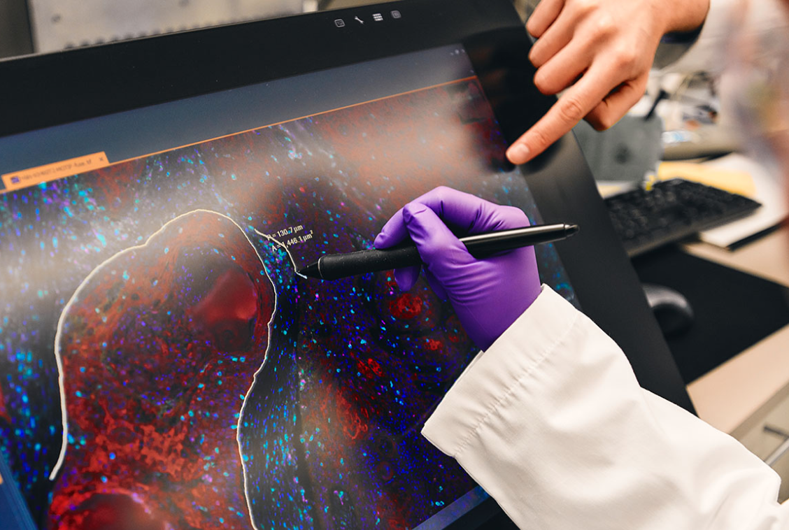 Research & Development - BMS Careers