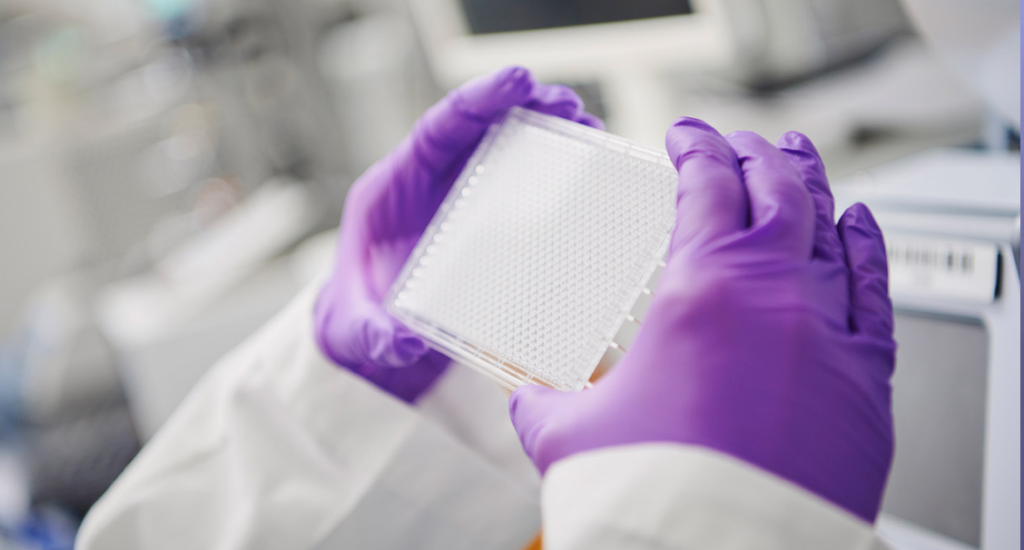 Research & Development - BMS Careers