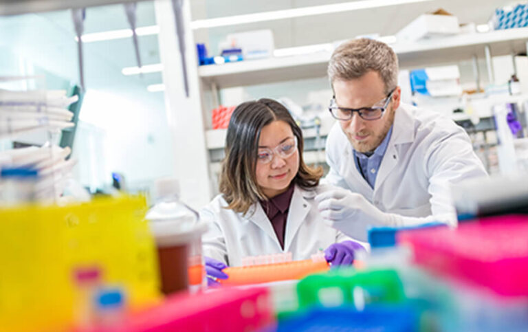 Country | Ireland - BMS Careers