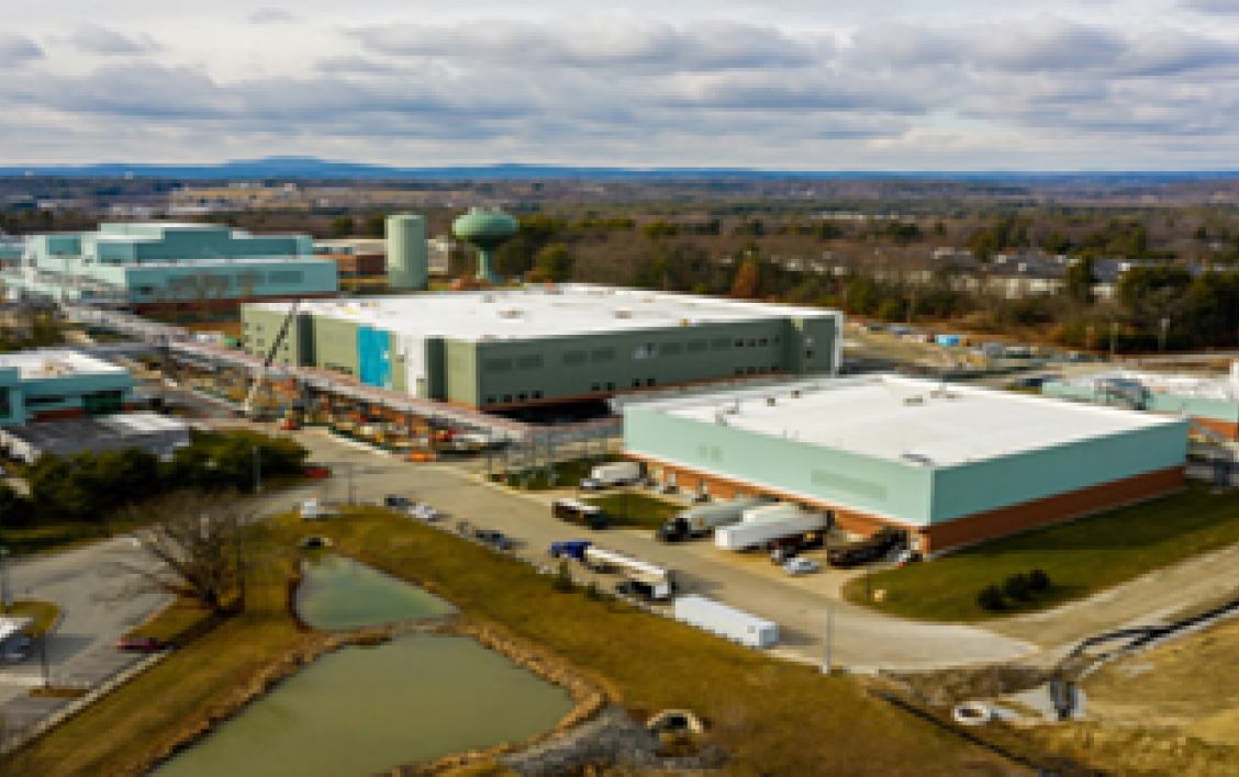 Cell Therapy - BMS Careers