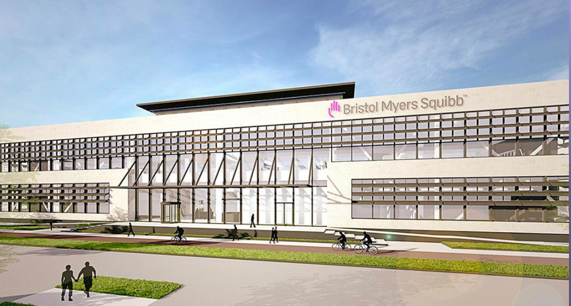 Cell Therapy - BMS Careers