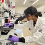 Research Internships